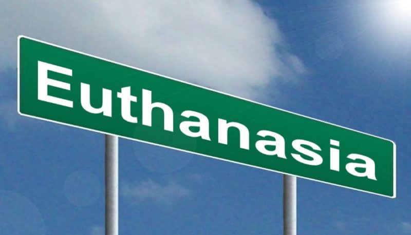 Euthanasia Law | Right to Die | Lawyer.ie Guide